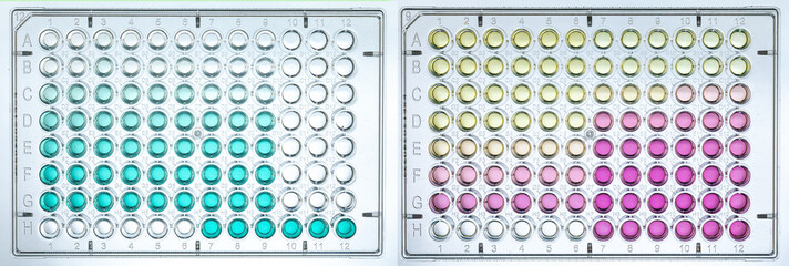 Microplate reader - Kalstein/en